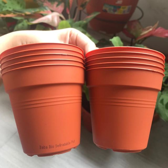 Baba Tp85 Plastic Pot | Shopee Malaysia