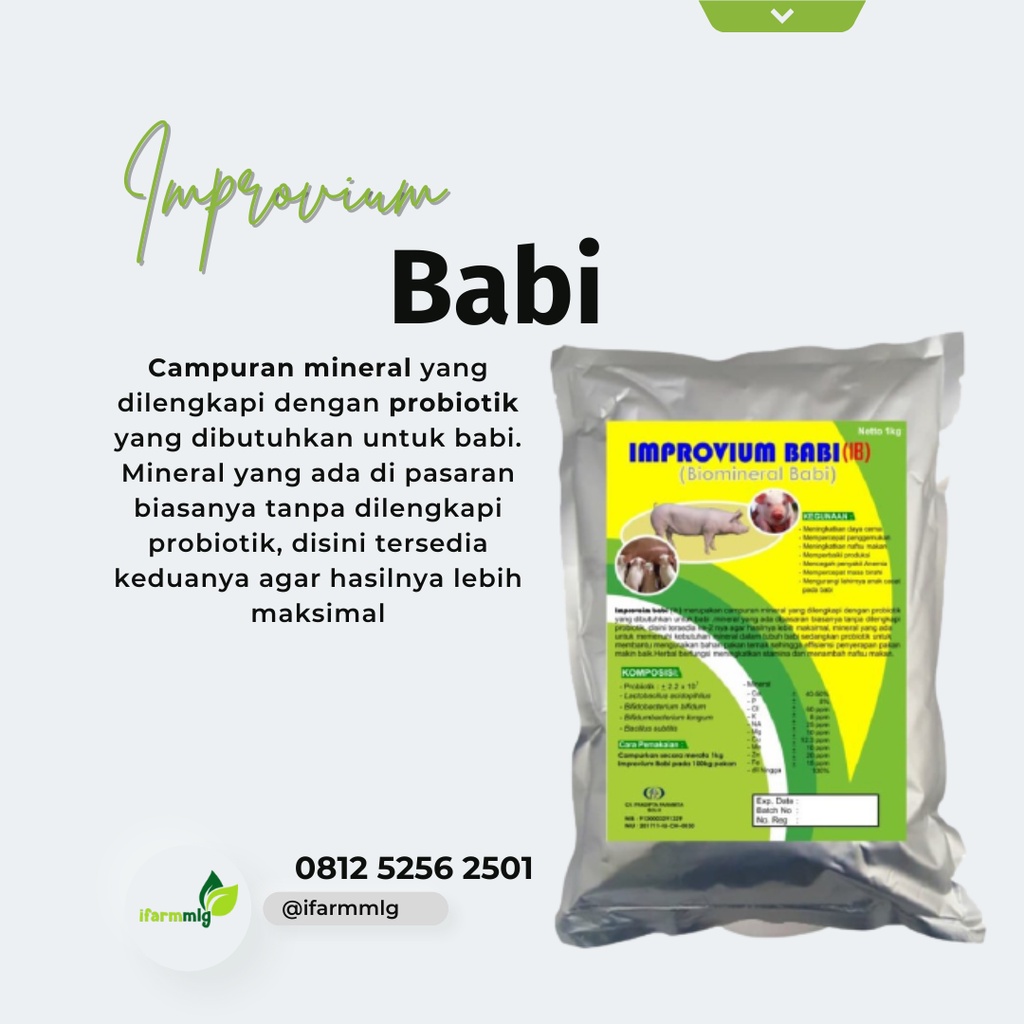 Improvium Pig 1 Kg - Mineral Pig - Minerals Of Pigs Repair Production ...