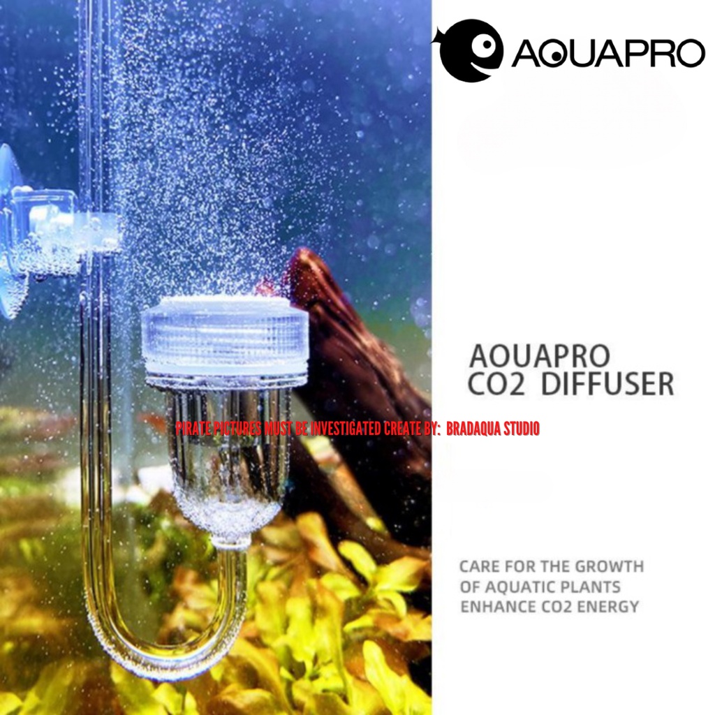 AQUAPRO 2in1 Acrylic CO2 Diffuser with Bubble Counter, Check Valve and U-Shape Connecting Tube ...