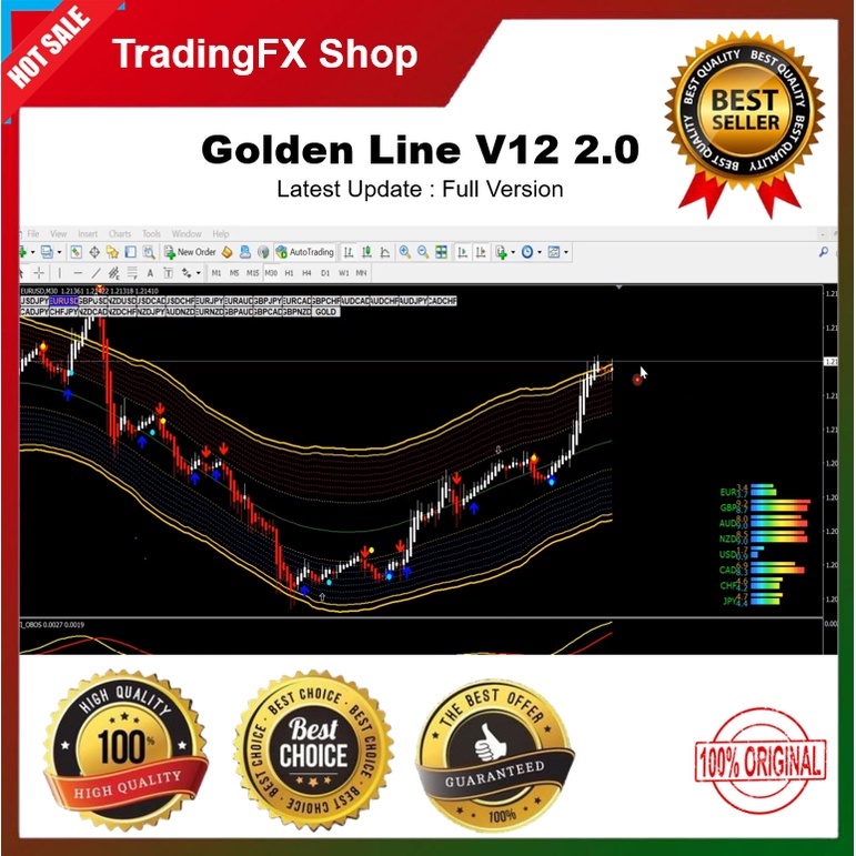 ( FOREX ) GOLDEN LINE V12 2.0 latest update FULL VERSION! | Shopee Malaysia