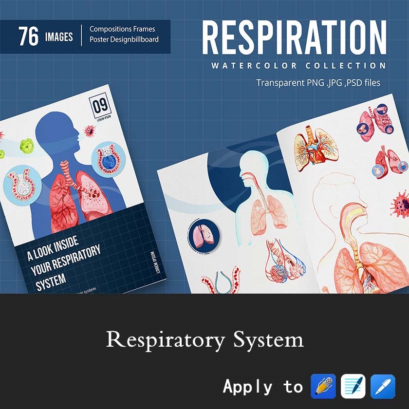 Watercolor respiratory system HD material goodnotes stickers medical ...