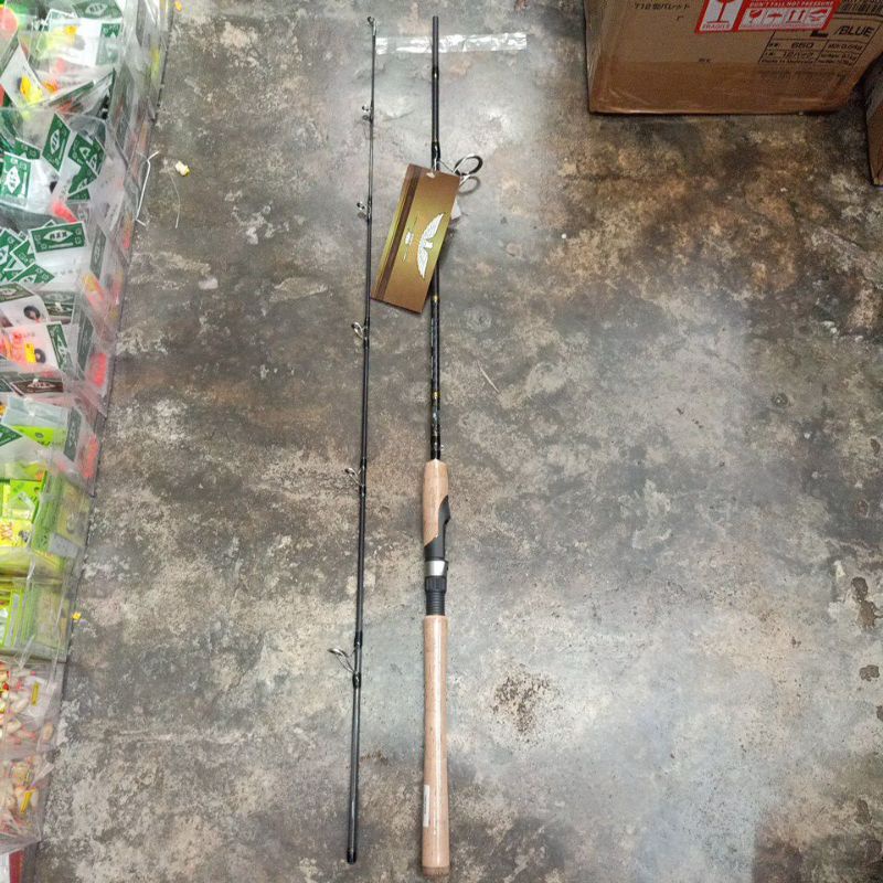 🎈🎈🎈FENWICK ITS IRON HAWK SPINNING ROD🎈🎈🎈 | Shopee Malaysia