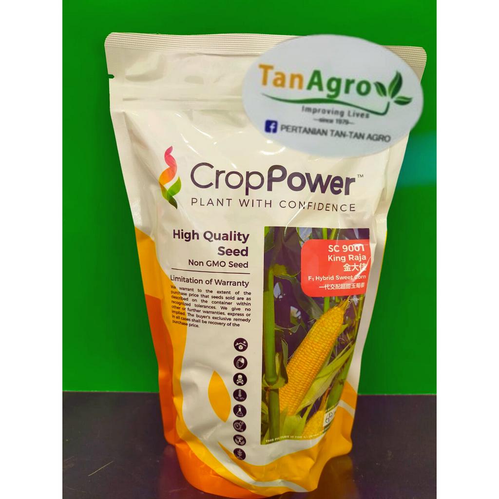 👉🏻ORIGINAL👈🏻 Crop Power seeds / biji benih F1 Hybrid Sweet Corn SC 9001 ...