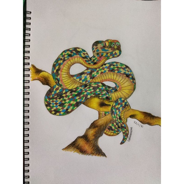 Artwork Ular Sawa drawing | Shopee Malaysia