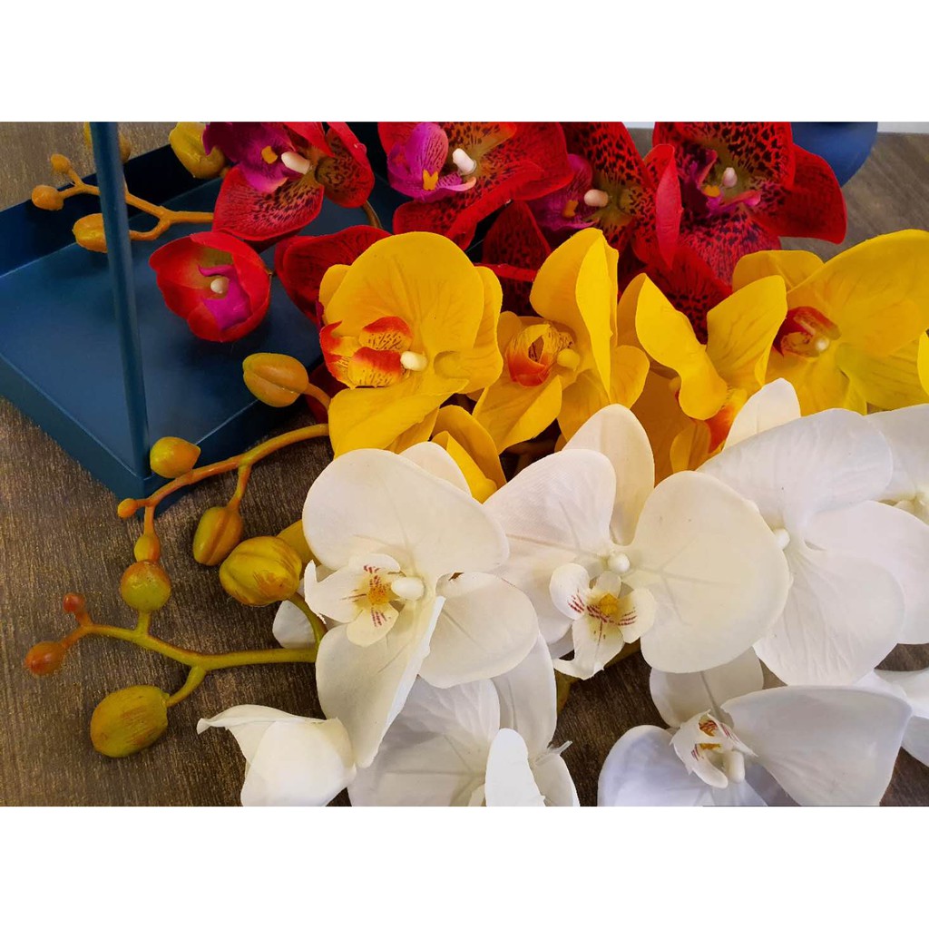 SUPER PREMIUM LATEX Butterfly Orchid | Orkid Latex |Bunga Hiasan Orkid ...