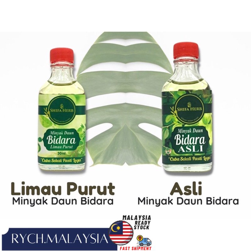 SHIFA HERB Minyak Daun Bidara Asli Limau Purut 30ml Ready Stock ...