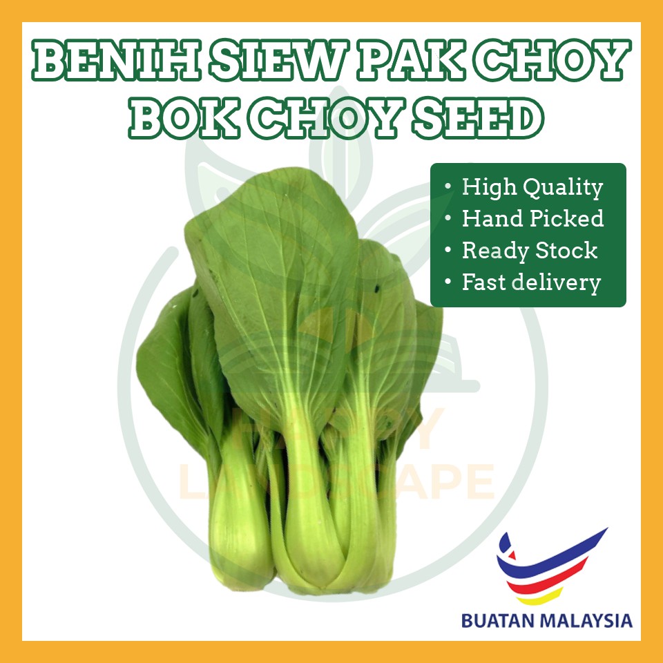 Benih Siew Pak Choy Bok Choy Seed Biji Benih Sayur Sayuran Vege ...