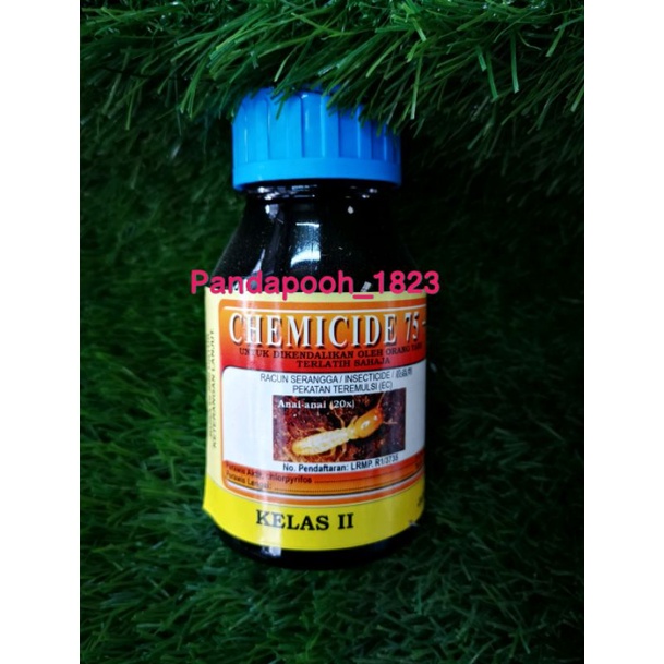 CHEMICIDE 75+ CHEMICIDE TERMITE PEST CONTROL /UBAT ANAI ANAI / 白蚁 ...