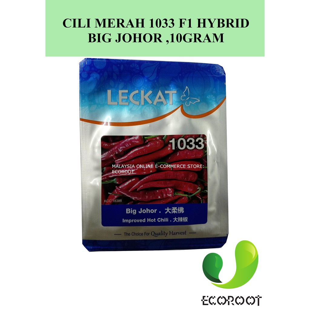BIJI BENIH 10GRAM LECKAT F1 HYBRID CILI KULAI MERAH BIG JOHOR 1033 SEED ...