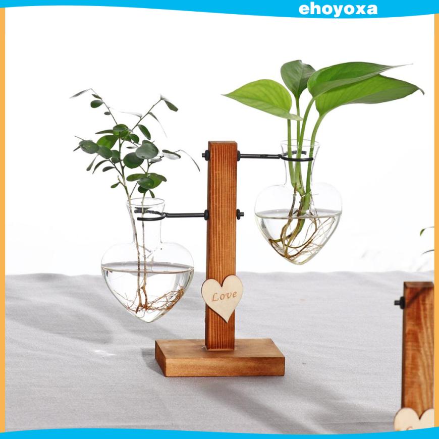 [ehoyoxaMY] Glass Test Tube Vase Flower Pots Desktop Plant Terrarium ...