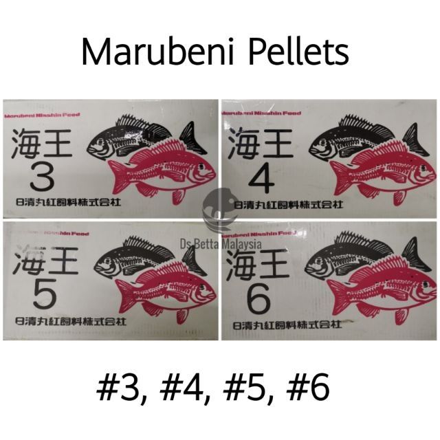 Japan Marubeni Pellets No. 3/4/5/6 makanan PREMIUM untuk betta / ikan ...