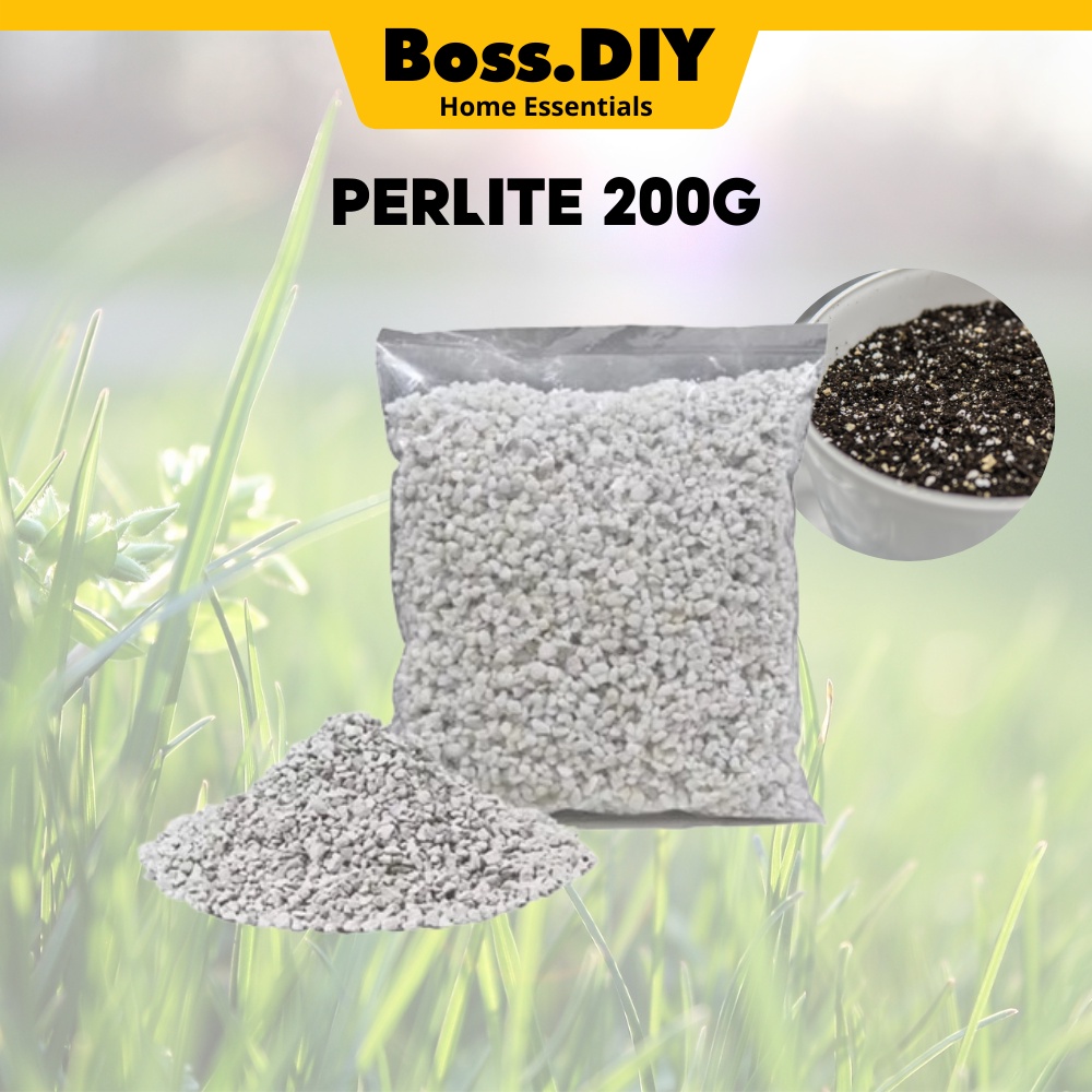 10L Perlite 3-6mm - Mixer for Soil For Cactus & Succulents (Natural ...