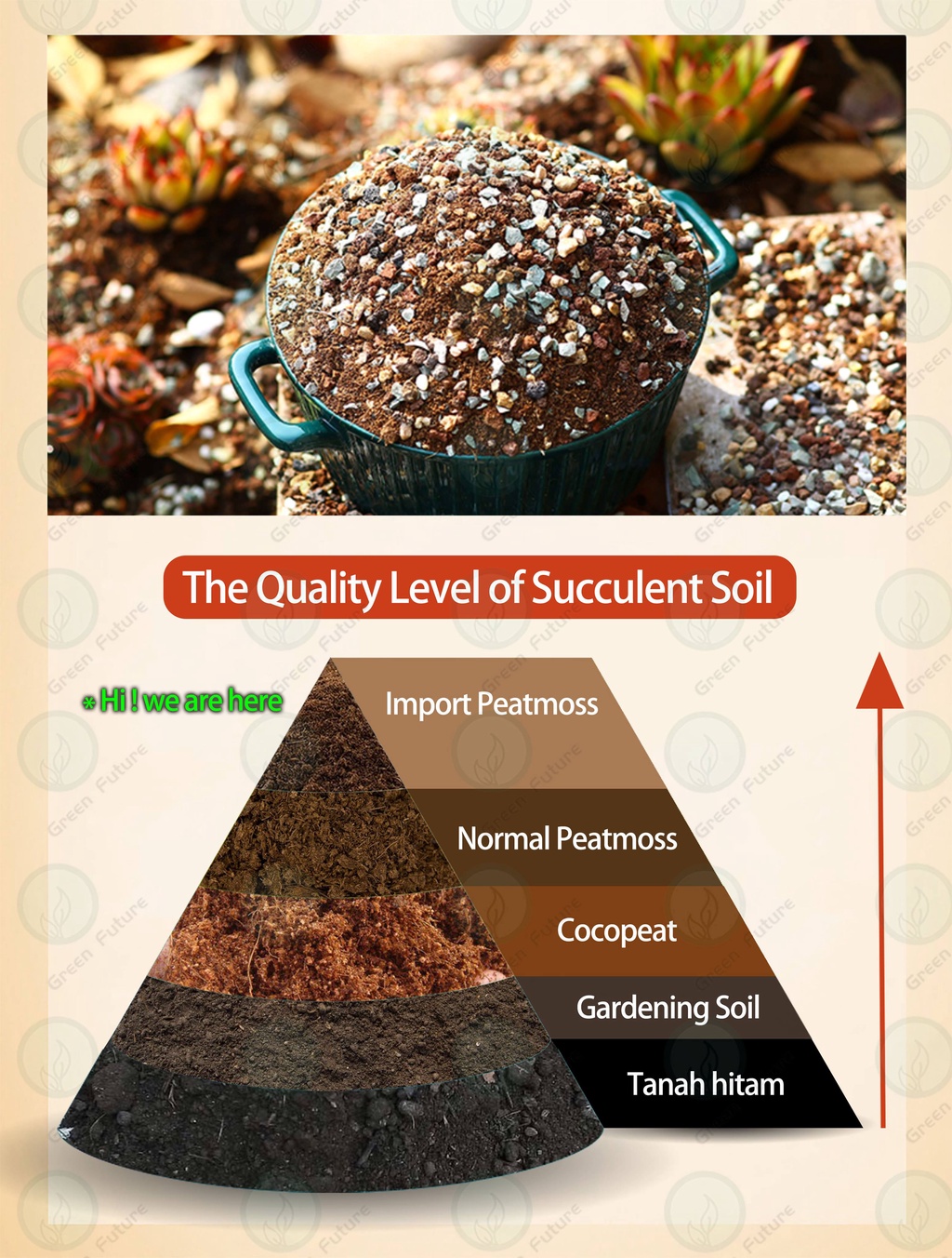 Pindstrup Peatmoss + Perlite 6L 丹麦品氏粗泥炭 + 珍珠岩 6L 植物泥土 花泥土 花泥 有机泥土 园艺土 园 ...