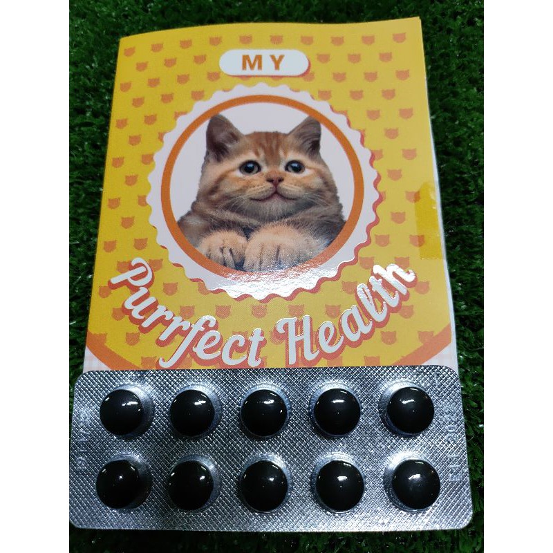 🇲🇾Kucing cirit-birit,muntah keracunan dan keluar air liur berbuih ...