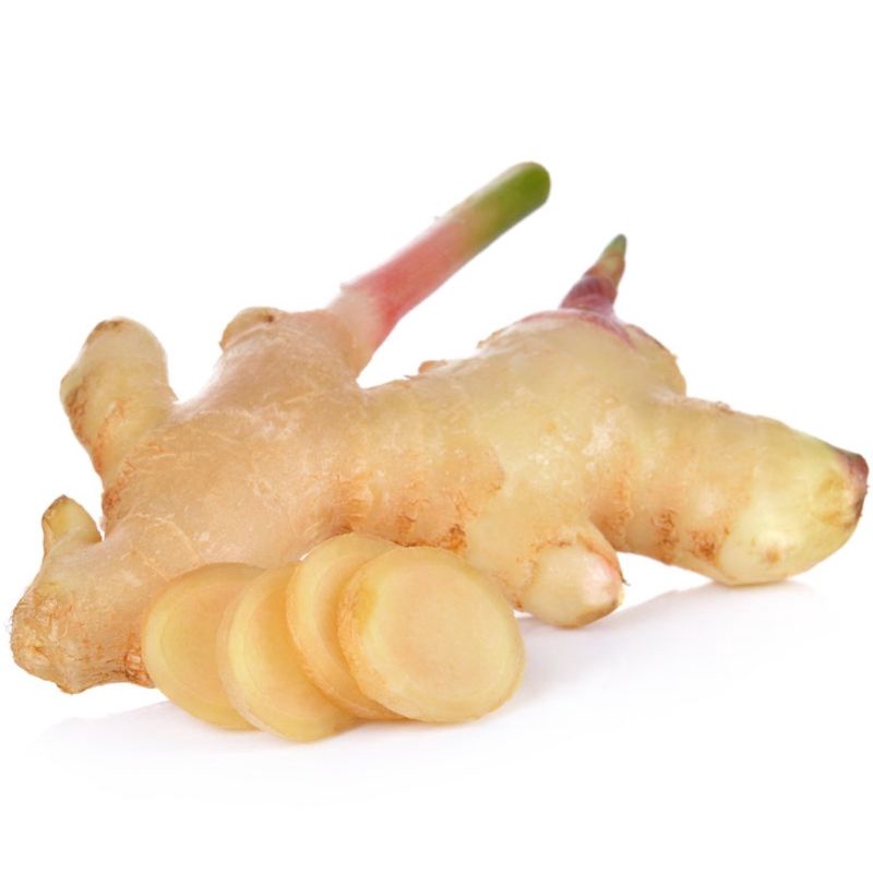 Halia Muda (1kg) CERTAIN KLANG VALLEY AREA ONLY - Fresh Vegetables ...