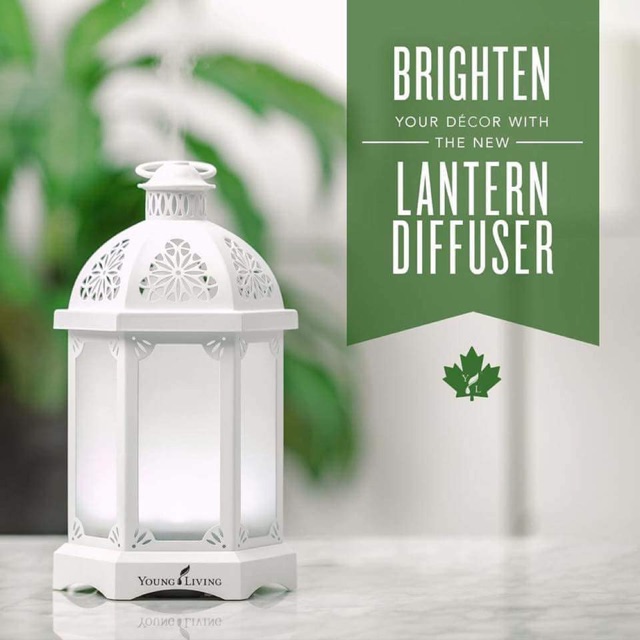 Young Living Lantern Diffuser | Shopee Malaysia