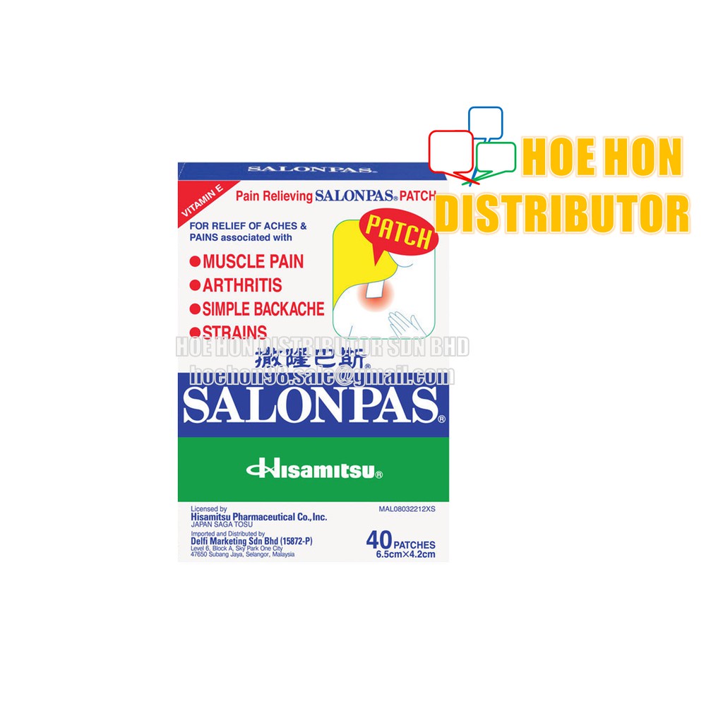 Hisamitsu Salonpas Pain Relieve Patch 40pcs Muscle Pain Simple Backache ...