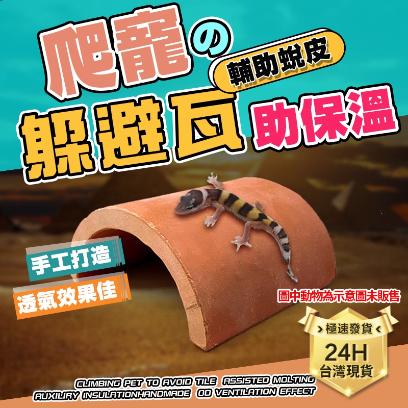 PJ Shop|Gecko Reptiles Avoid Simple Tile Ceramic Humidification ...