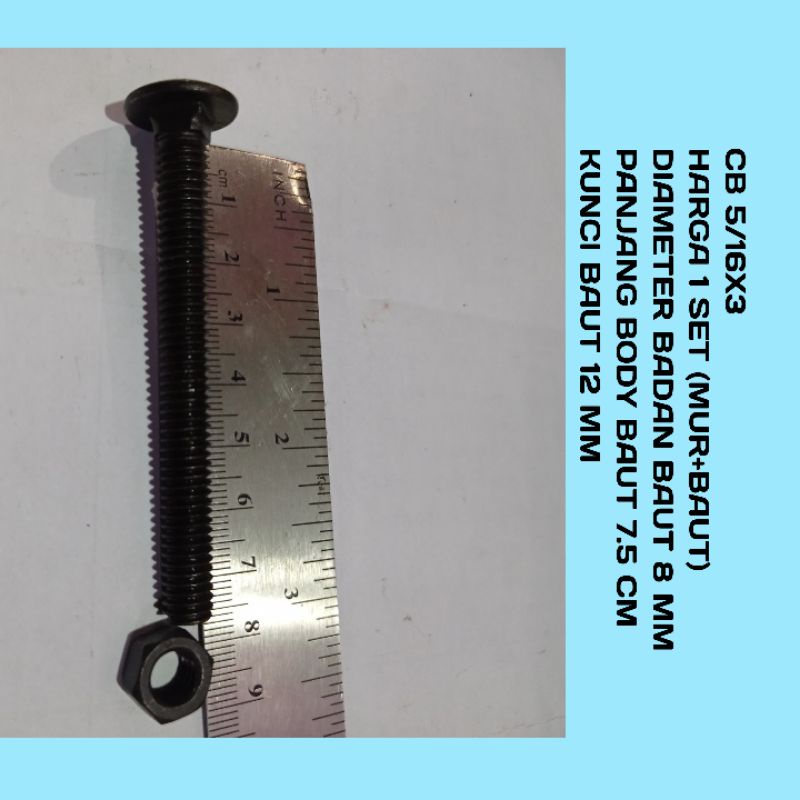 Cb M8 Nut BOLT - CARRIER BOLT 5/16 x 3 inch (Umbrella BOLT 7.5 CM ...