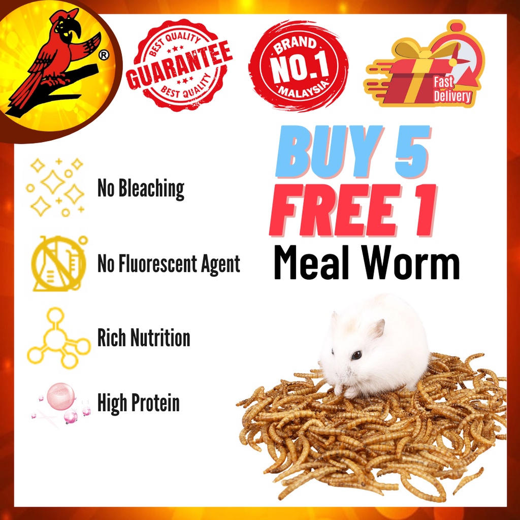 【READY STOCK】CACING KERING 80 G ULAT ROTI KERING DRY MEAL WORM MAKANAN ...