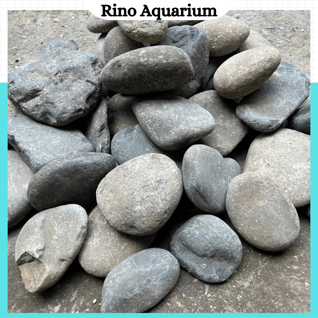 Decorative Natural Pebbles - Setup of Aquariums, Aquariums, Beautiful ...
