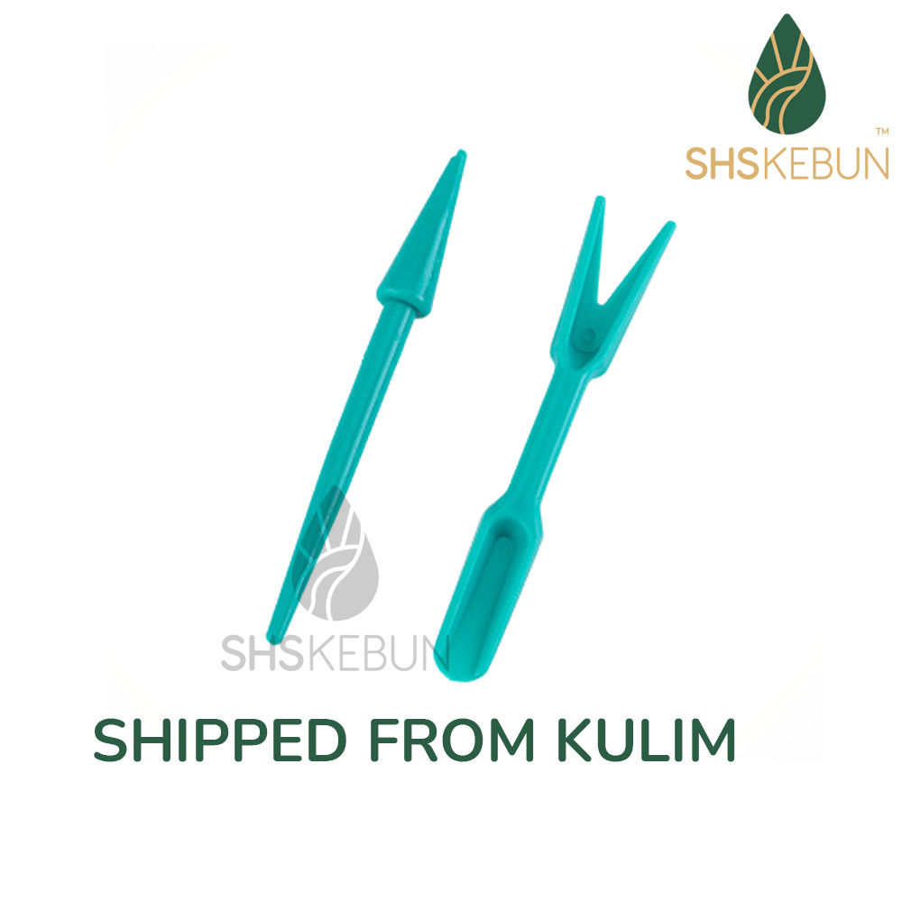 Cactus and Succulent Gardening Tool 14cm Seedling Lifter and Puncher ...