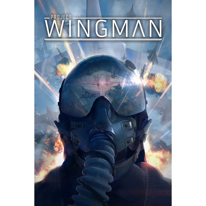 Project Wingman [PC] | Shopee Malaysia