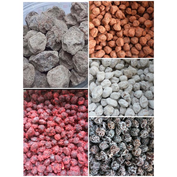 Asam Boi Asam Ko Sedap | Shopee Malaysia