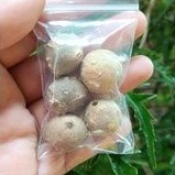 5 BIJI MANJAKANI / BIJI MANJAKANI (READY STOCK) | Shopee Malaysia