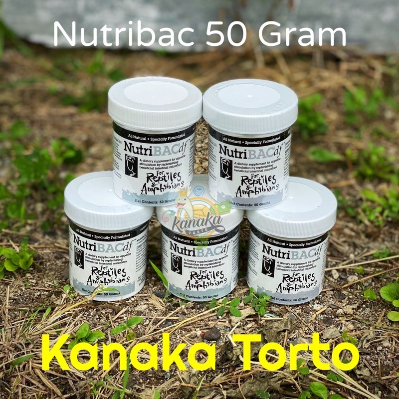 Nutribac DF Probiotic Supplement for Reptiles and Amphibians Lizards ...