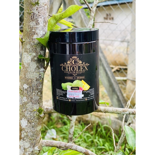 Cholex 600g (pencicah buahan) | Shopee Malaysia