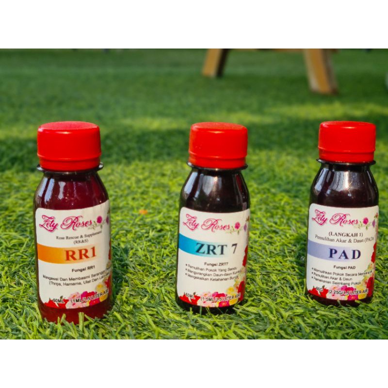 (READY STOCK) SET ASAS 5 SERANGKAI ZETY ROSES | Shopee Malaysia