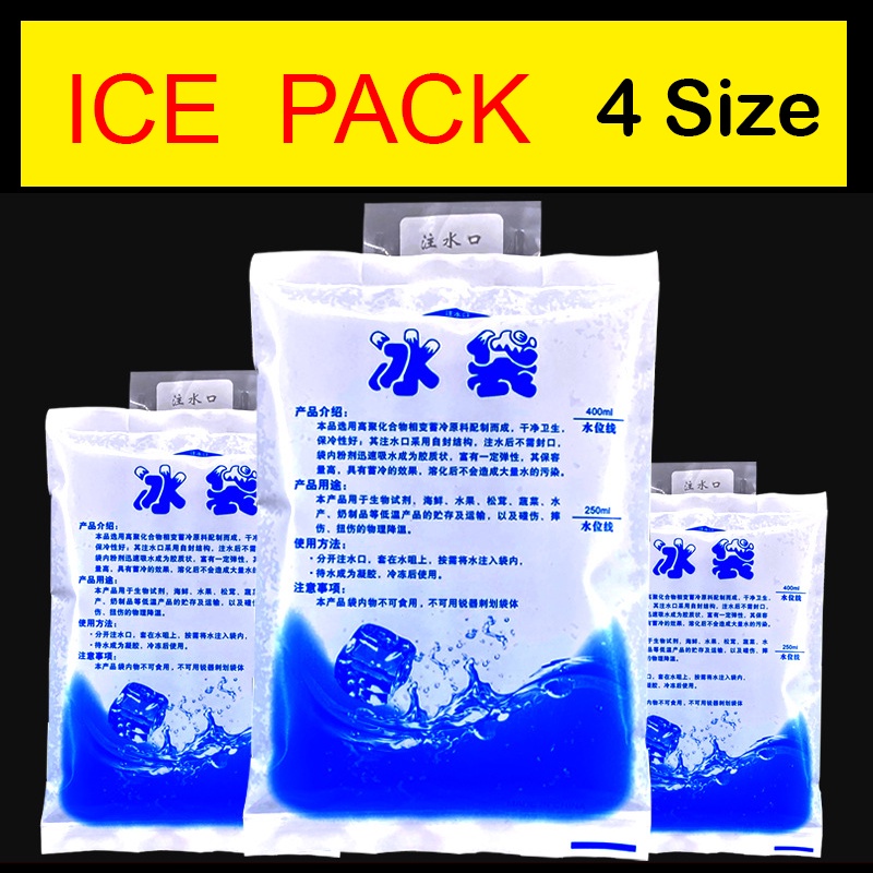 10pcs Extra Thick Reusable Ice Pack Breastmilk Seafood Medicine Cooler ...