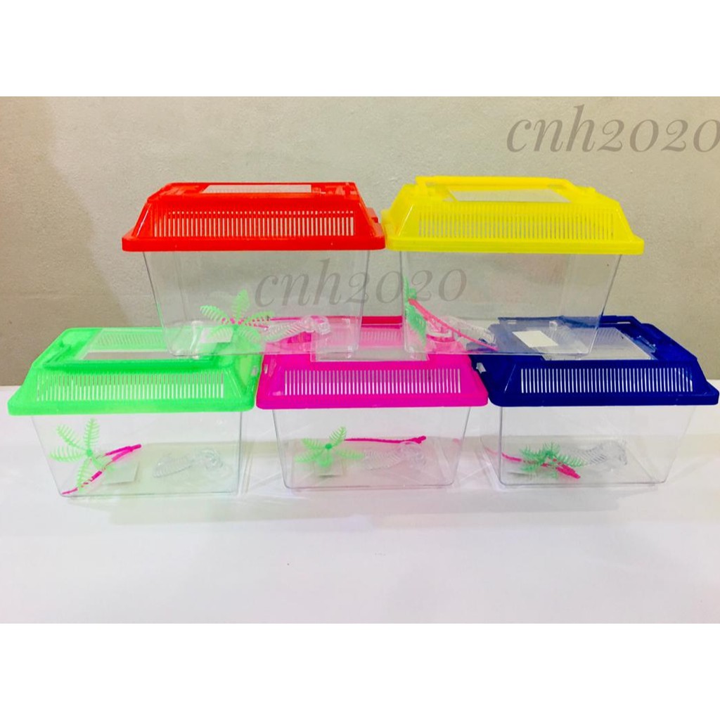 Akuarium Plastik / Ikan Laga / Akuarium Kura-kura / Guppy Plastic Tank ...