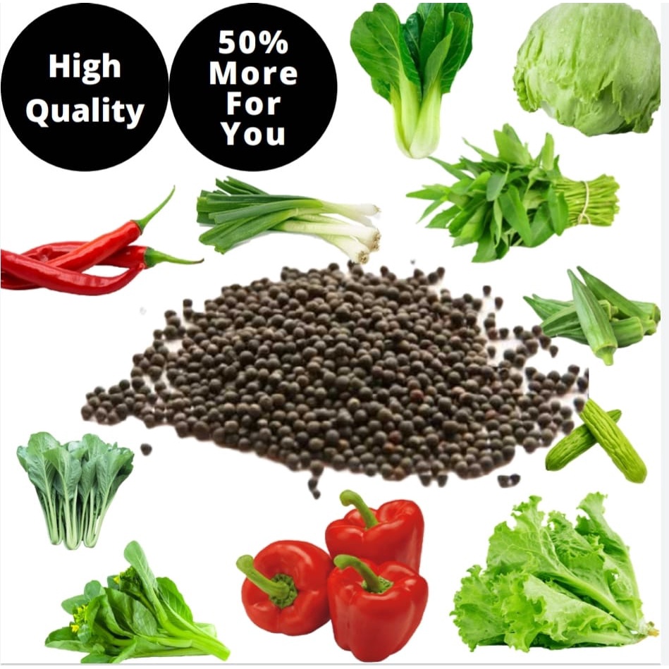 Kailan Kangkung Sawi Japanese Salad Biji Benih Vege Sayur sayuran ...