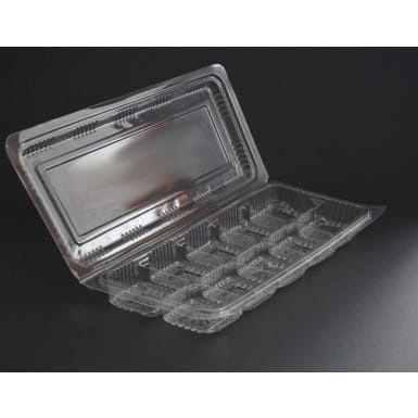 PVC 10 Cavity Case with Cover (CN205) (10pcs) | Shopee Malaysia