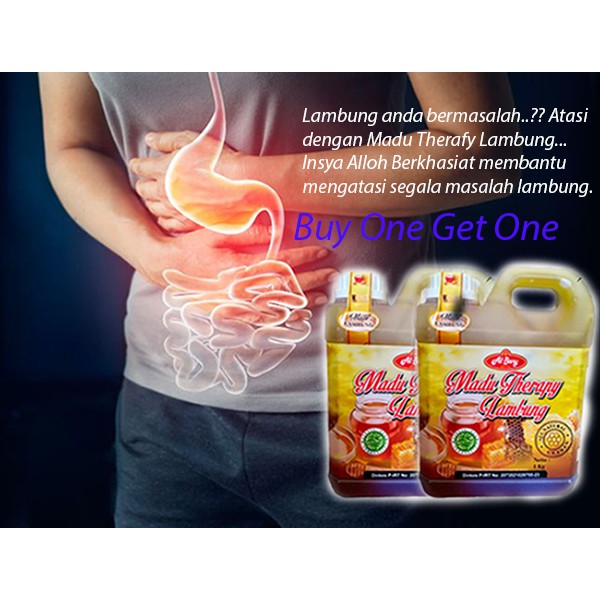 Al-bany Net Gastric Therapy Honey Package 1KG (Acute Gastric Solution ...