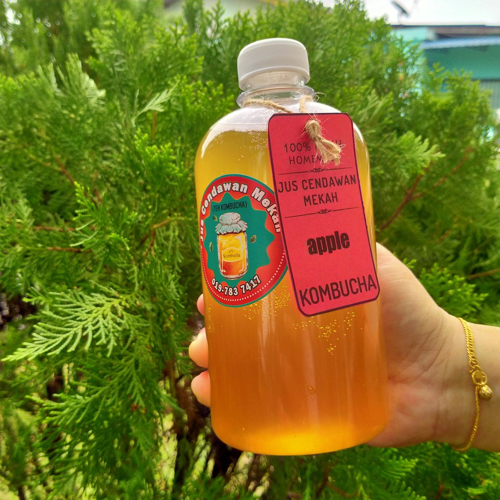 Kombucha Teh Hijau Dengan Nenas Epal Halia Lemon | Kombucha Green Tea ...