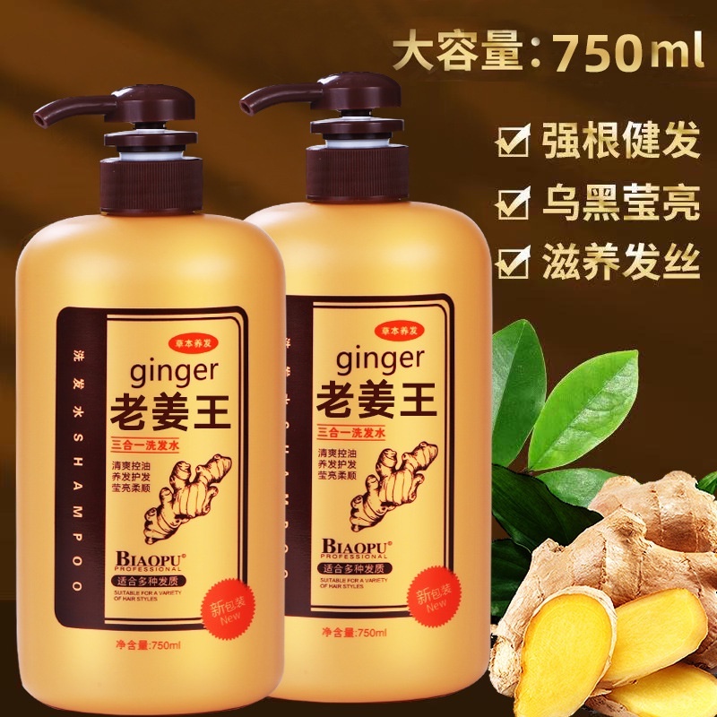 Oil Ginger Extract Shampoo for Unisex 750ml Anti Loss hair Oil Control ...