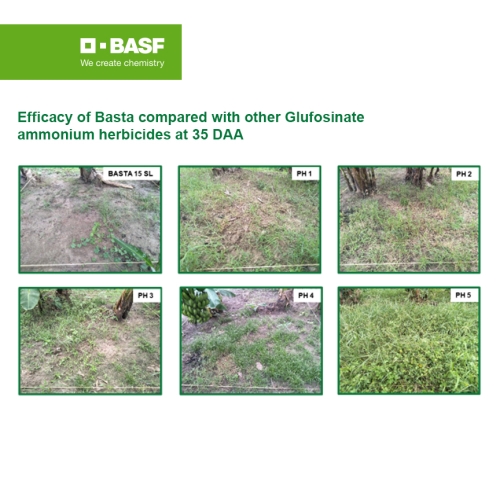 5L Basta 15 Bayer BASF Glufosinate Ammonium 13.5% Herbicide Racun ...