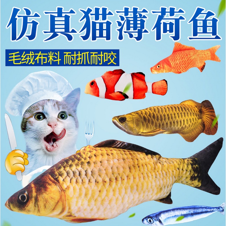 5 Styles Creative 3D Fish Shape Cat Toy Simulation Plush Fish Pet ...