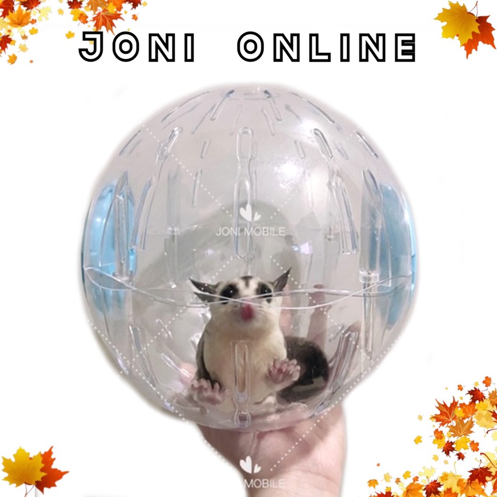 (20CM Diameter) Sugar Glider Hedgehog Hamster Guinea Pig Squirrel ...