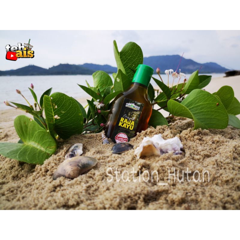 MINYAK RAJA KAYU oleh Tuan Hutan | Shopee Malaysia
