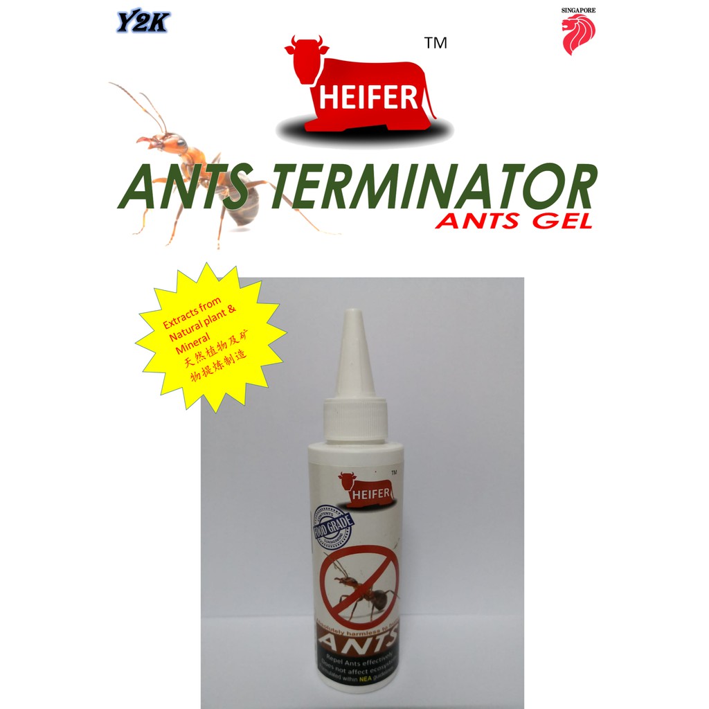 HEIFER Ants Terminator / Ants Gel (100ML) | Shopee Malaysia