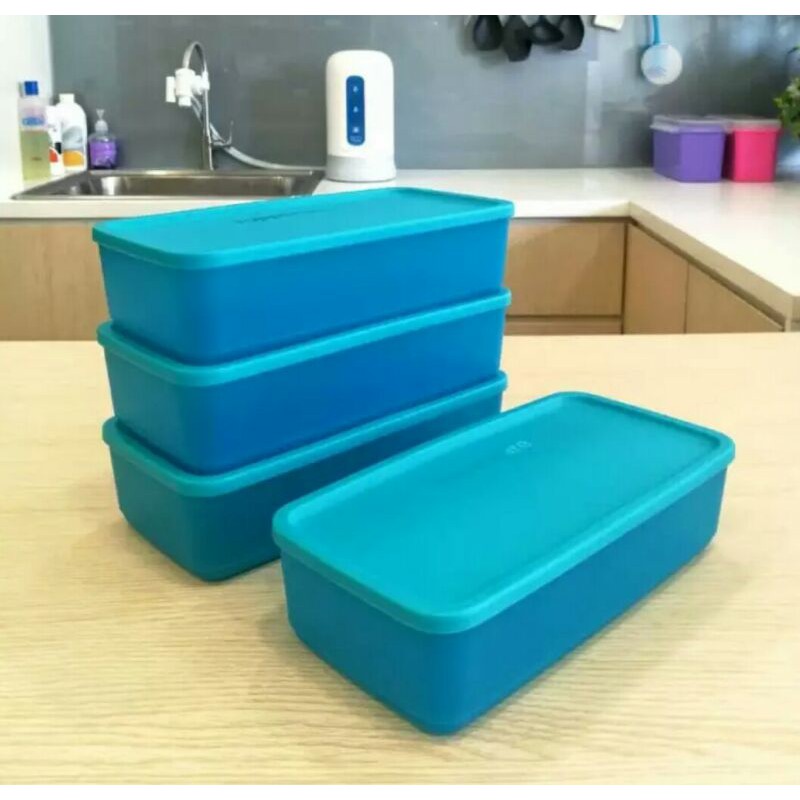 Tupperware Fresh 2 Go (1.4L) | Shopee Malaysia
