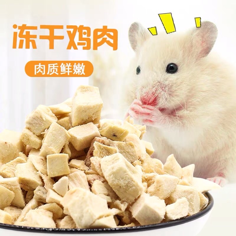 F21 Hamster snacks freeze-dried chicken nuggets 仓鼠零食冻干鸡肉粒 | Shopee Malaysia