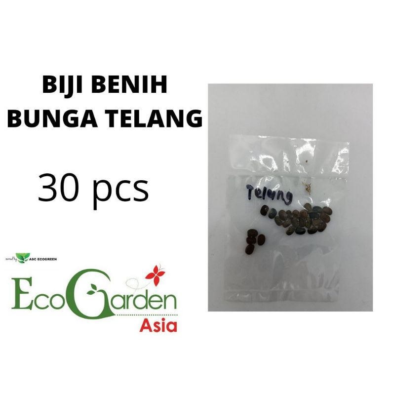 Biji Benih Bunga Telang (20 biji benih) RM2 | Shopee Malaysia