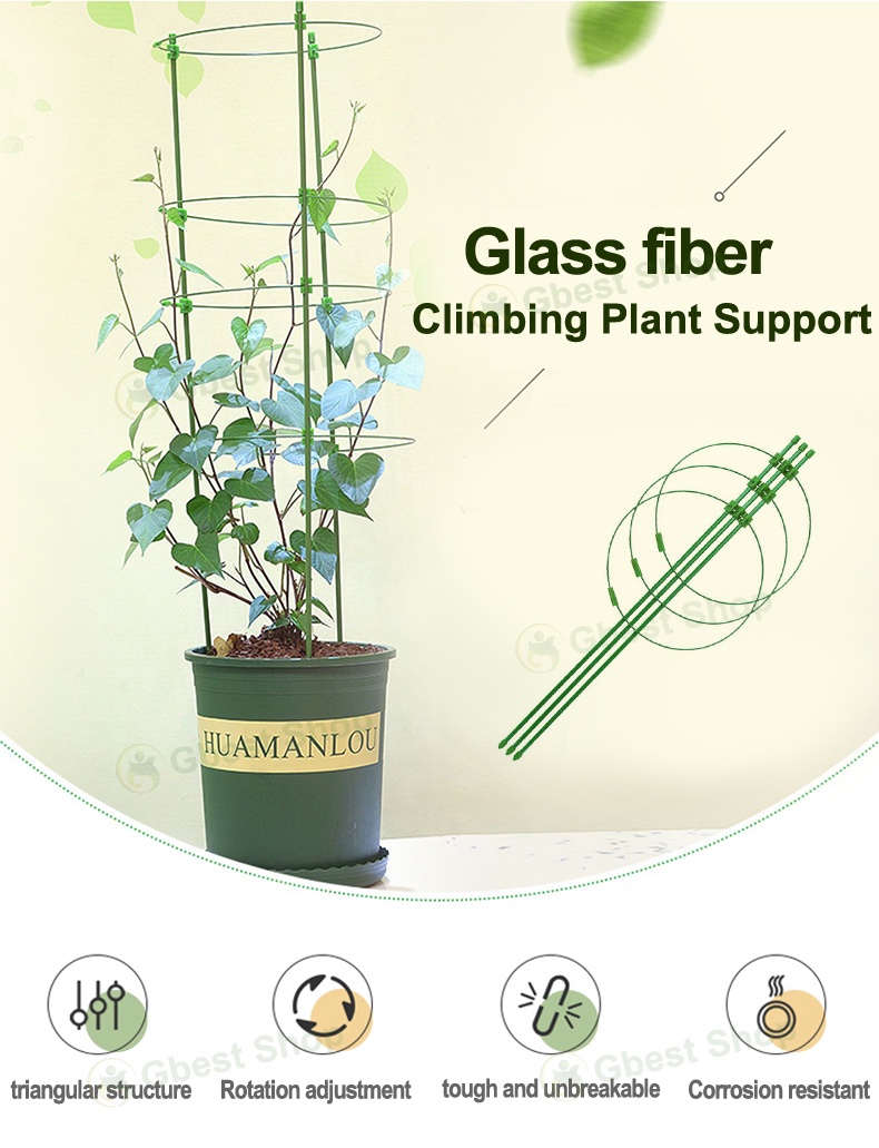 Conical plant climbing support stick net flower rack ring frame stand ...
