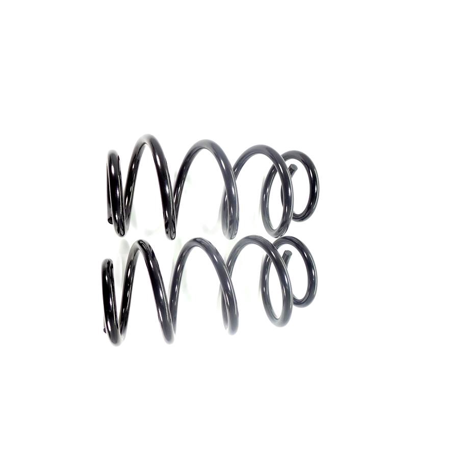 Coil spring rear Vellfire 2.5 AGH30 OE (1 Pair) | Shopee Malaysia
