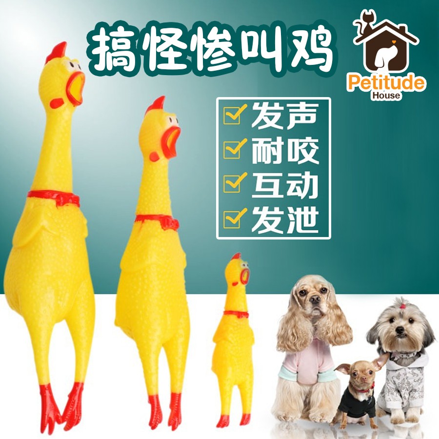 READY STOCK | Funny Screaming Chicken Toys 搞怪惨叫鸡玩具 12.5 inch | Shopee ...